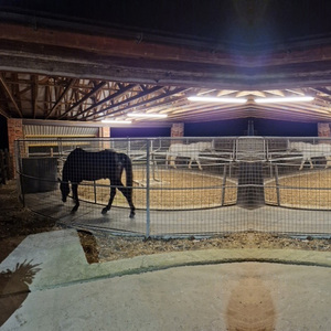 Photo Gallery | Park Farm Stables